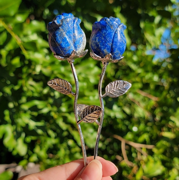 Other | New 59 Lapis Lazuli Roses | Poshmark